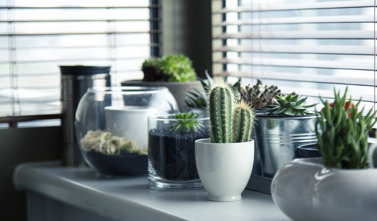 Eco Friendly Pots: Are They a Better Option than Common Pots ...